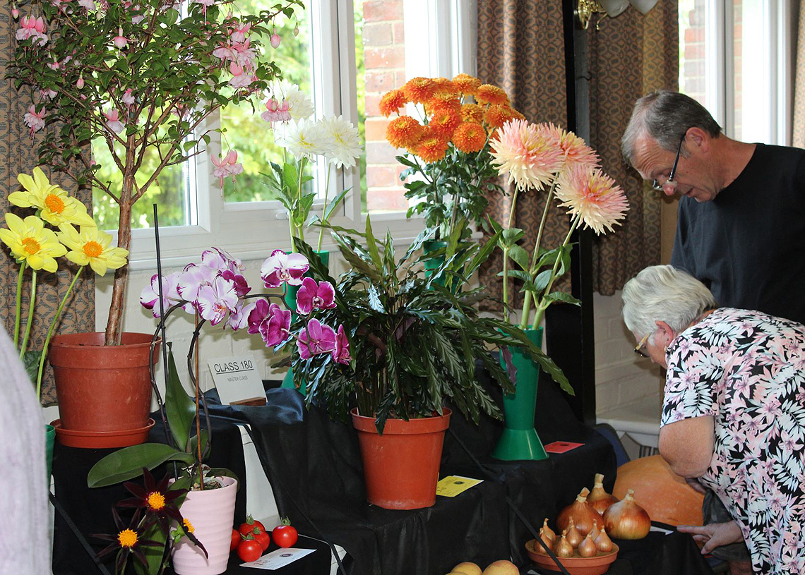 GUIDE TO MASTER CLASSES - Kimble and Ellesborough Horticultural Society