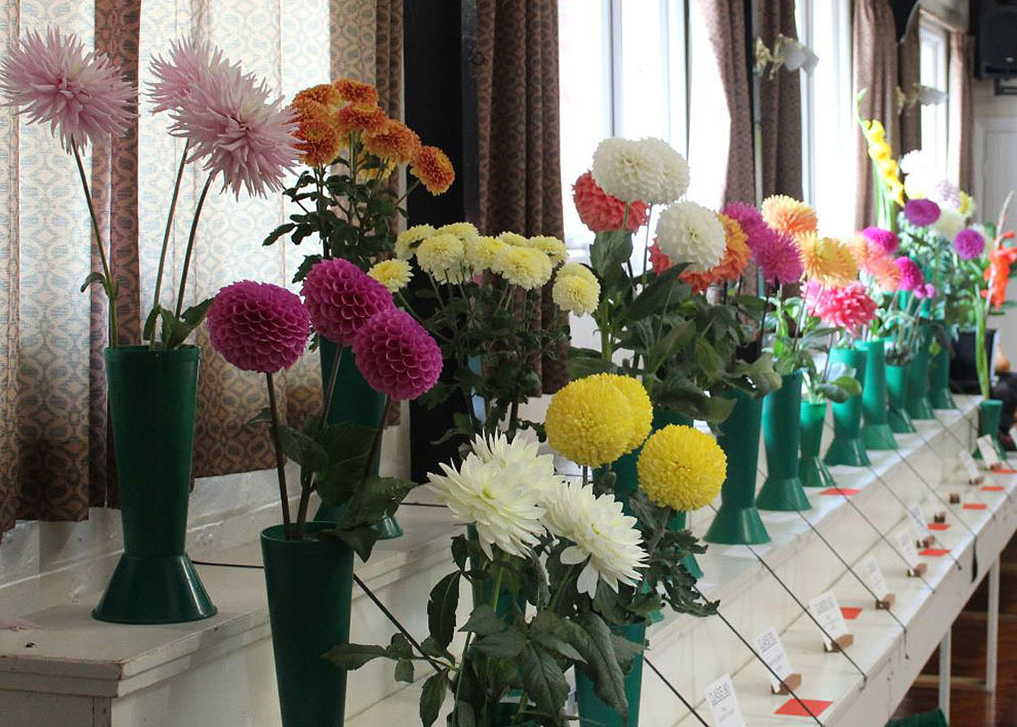 Autumn 2022 Show Results - Kimble and Ellesborough Horticultural Society