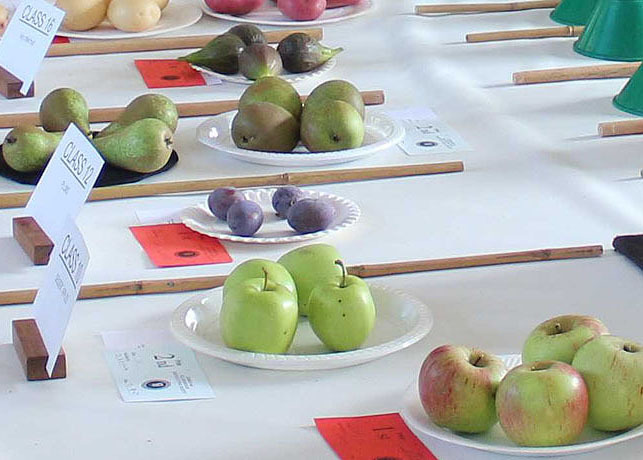 GUIDE TO FRUIT CLASSES - Kimble and Ellesborough Horticultural Society