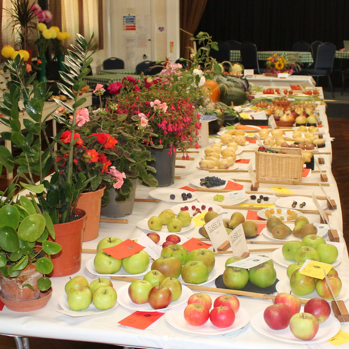 Autumn Show Info - Kimble and Ellesborough Horticultural Society