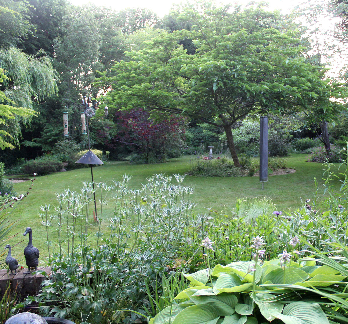 Sandy Primrose's Garden 2025 - Visit on 10 June - Kimble and ...